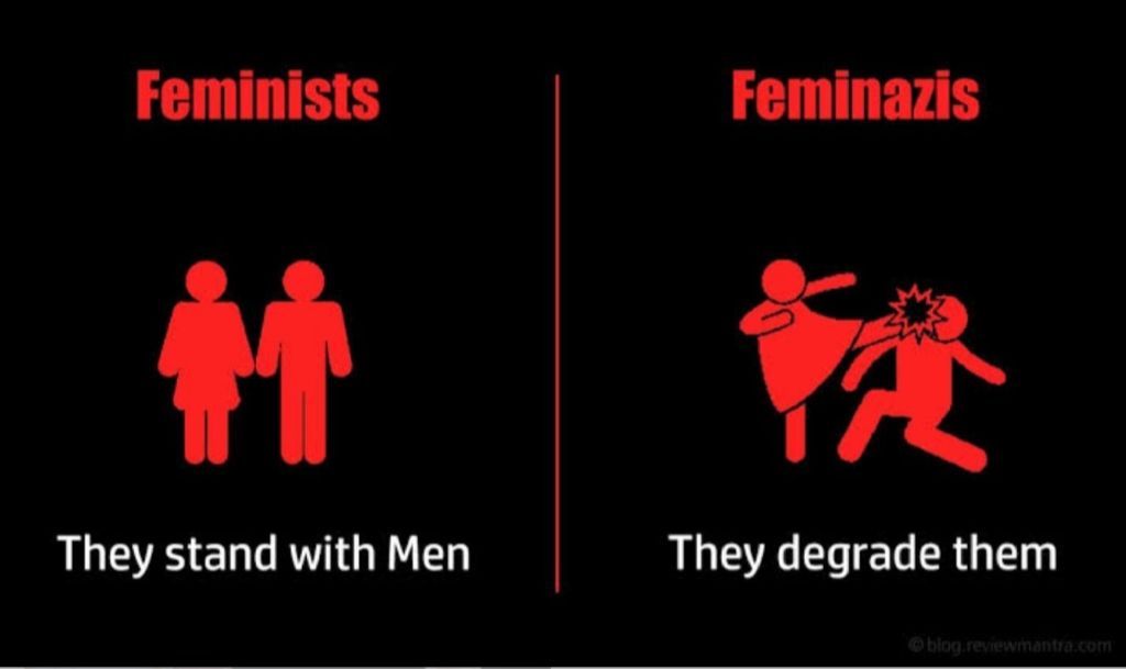 THE RISE OF PSEUDO FEMINISM SK Children Foundation NGO In Delhi
